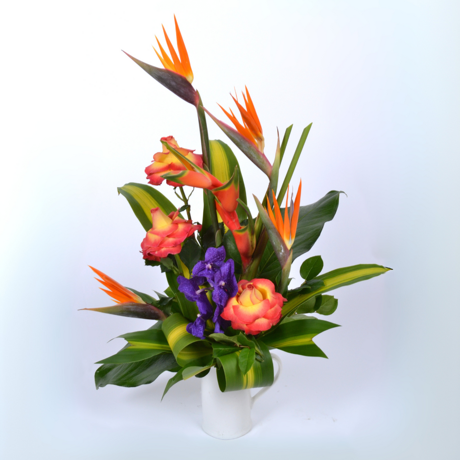 Houston Florist with Same-Day Delivery | Designs By Nino Llc–Designs By ...
