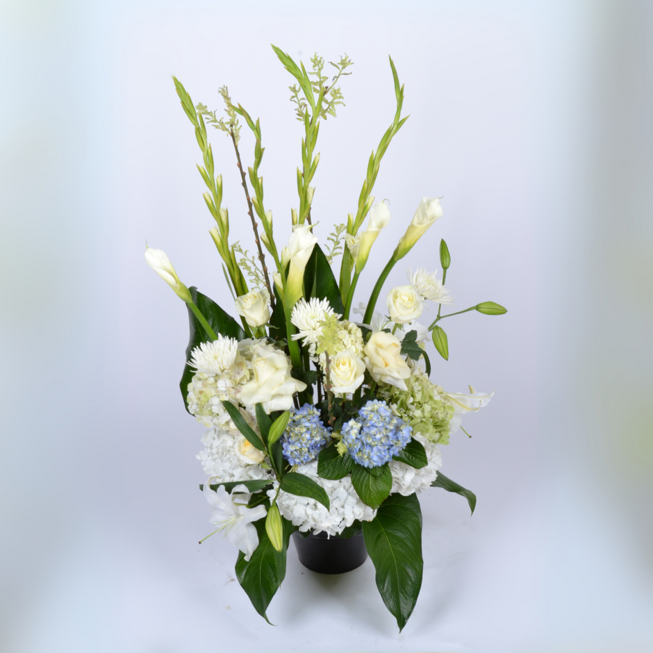 Houston Florist with Same-Day Delivery | Designs By Nino Llc–Designs By ...